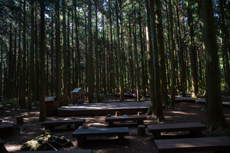 Saryeoni Forest Trail (사려니숲길) : VISITKOREA