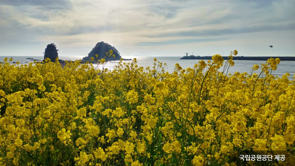 Taeanhaean National Park (태안해안국립공원) : VISITKOREA