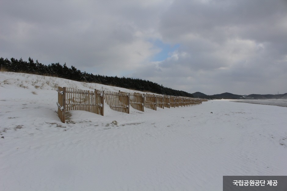 Taeanhaean National Park (태안해안국립공원) : VISITKOREA