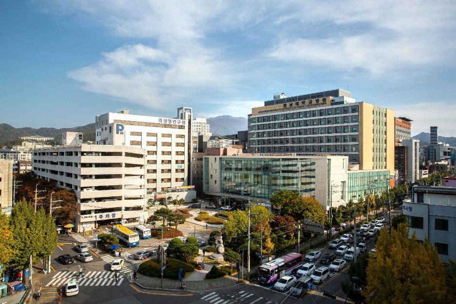 Chonnam National University Hospital (전남대학교병원) : VISITKOREA :: Medical ...