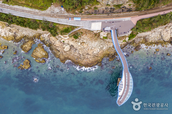 Cheongsapo Daritdol Observatory (청사포 다릿돌전망대) : VISITKOREA