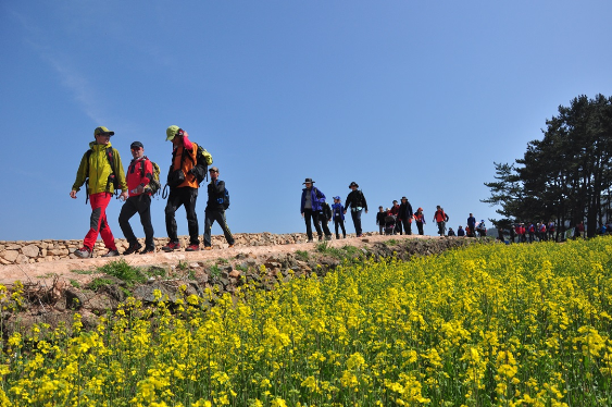 Jeonnam Wando Cheongsando Island (Cittaslow) (전남 완도 청산도 [슬로시티 ...
