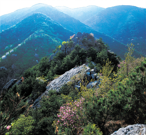 Muhaksan - Alchetron, The Free Social Encyclopedia