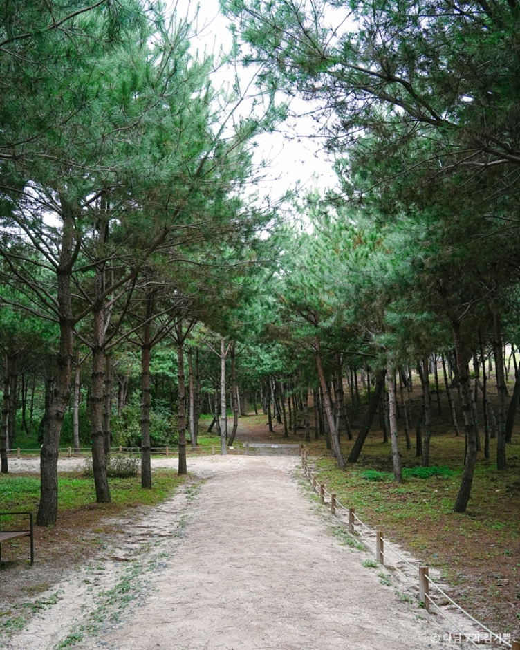 Seonjeongneung (Seolleung et Jeongneung) [Patrimoine mondial de l ...