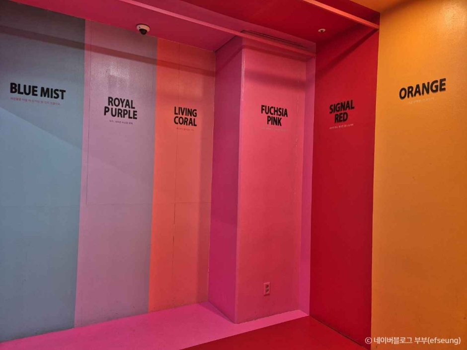Color pool Museum (컬러풀뮤지엄(COLORPOOL MUSEUM)) : VISITKOREA
