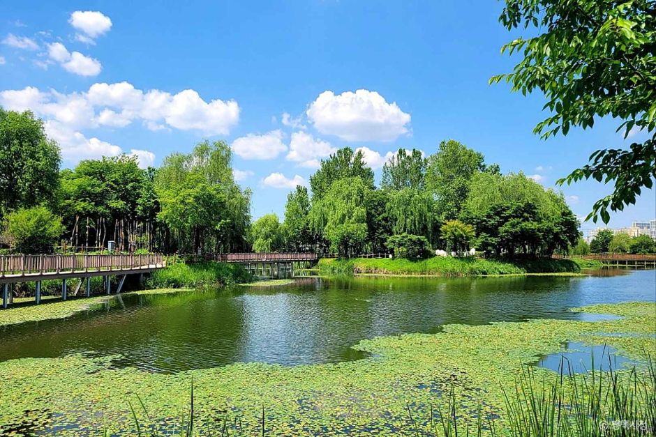 Jardín Sopung de la Aldea Baramsae (바람새마을 소풍정원): VISITKOREA