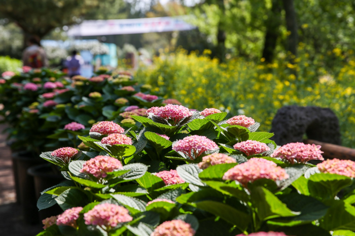 Hueree Natural Park (휴애리 자연생활공원) - places to visit in Korea - Kpopmap