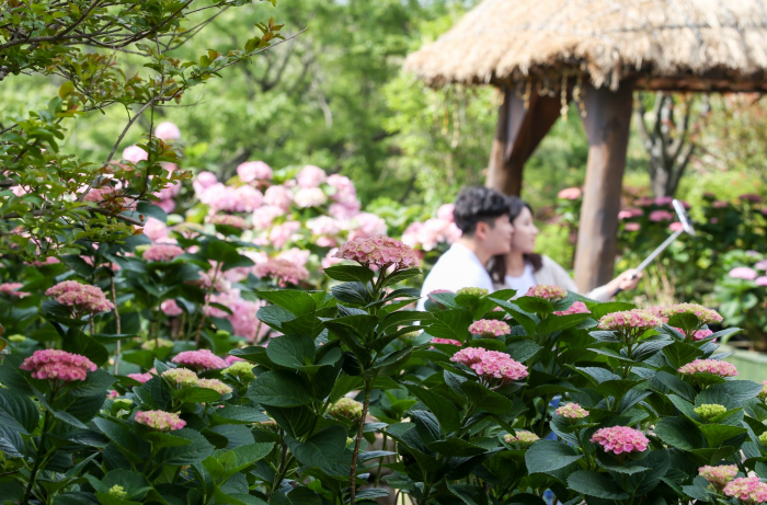 Hueree Natural Park (휴애리 자연생활공원) - places to visit in Korea - Kpopmap