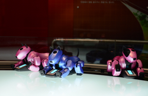 Robo Life Museum (로보라이프 뮤지엄) : VISITKOREA