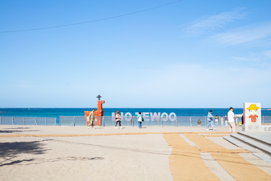 Iho Tewoo Beach (이호테우해변) : VISITKOREA