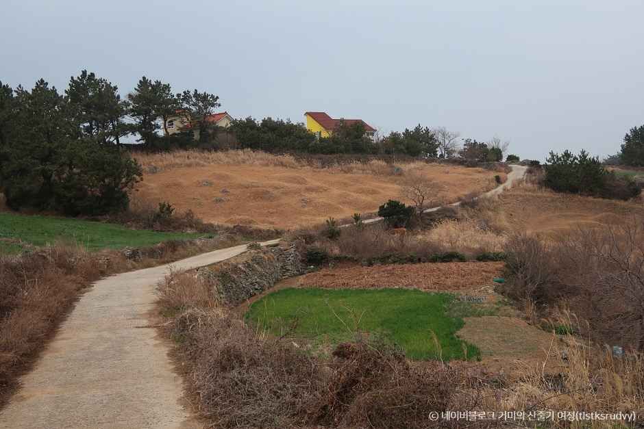 Isla Cheongsando (청산도): VISITKOREA