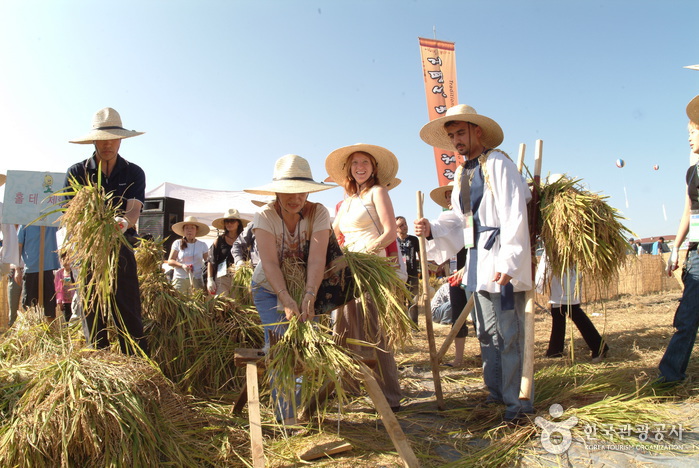 korea farming culture – GRACING KOREA