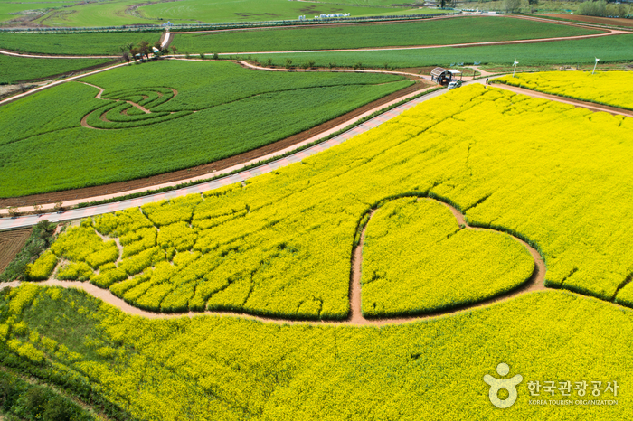 안성팜랜드 정보 그리고 주변 관광지, 맛집, 행사