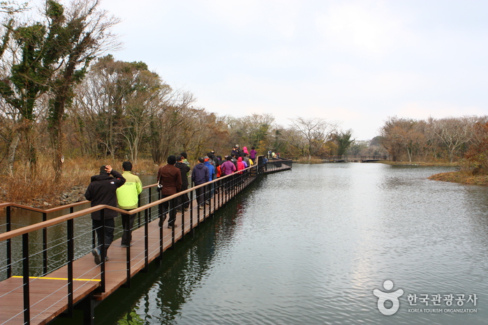 Eco Land Theme Park (에코랜드테마파크) - places to visit in Korea - Kpopmap