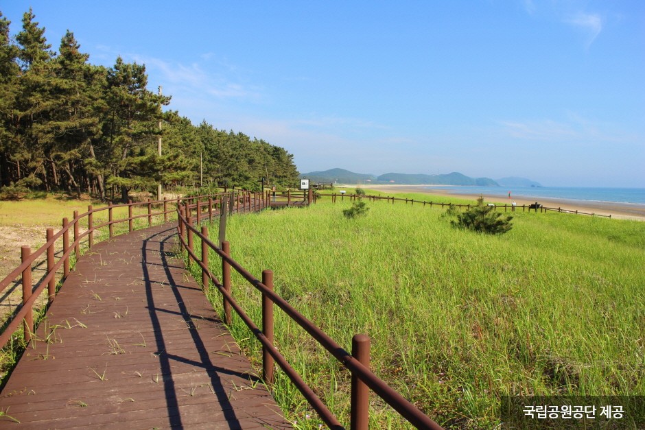 Taeanhaean National Park (태안해안국립공원) : VISITKOREA