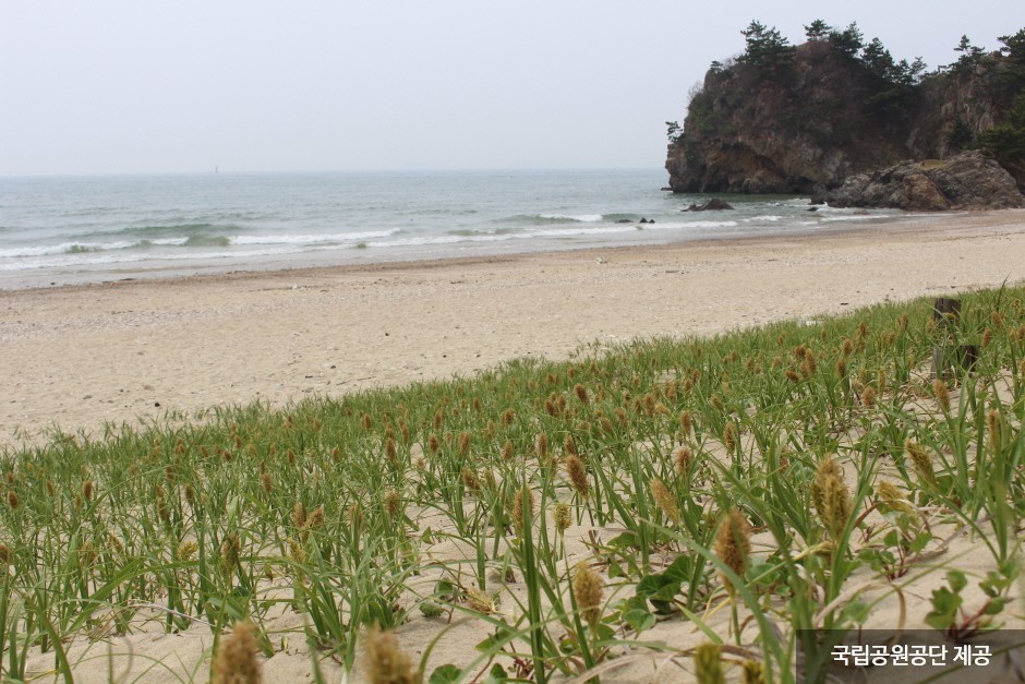 Taeanhaean National Park (태안해안국립공원) : VISITKOREA