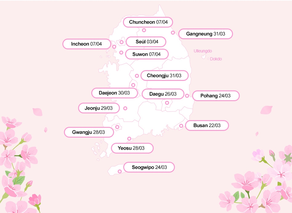 Los mejores destinos para ver flores de primavera en Corea: VISITKOREA