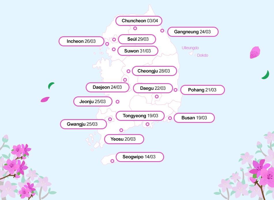 Los mejores destinos para ver flores de primavera en Corea: VISITKOREA