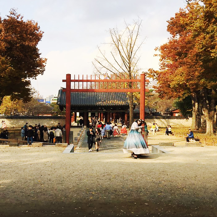 [Jeonju, Arirang Hotel] Jeonju: A City in Fall : VISITKOREA