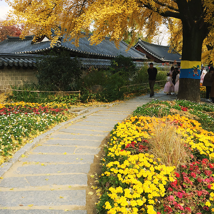 [Jeonju, Arirang Hotel] Jeonju: A City in Fall : VISITKOREA