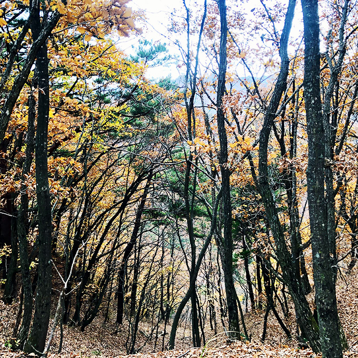[Inje, Inje Hotel] Inje: a weekend in a Fairytale! : VISITKOREA